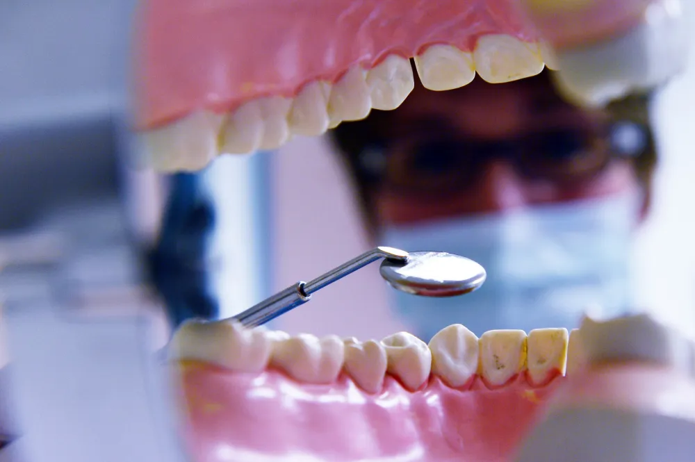 Dentistry News & Latest Pictures From Newsweek.com