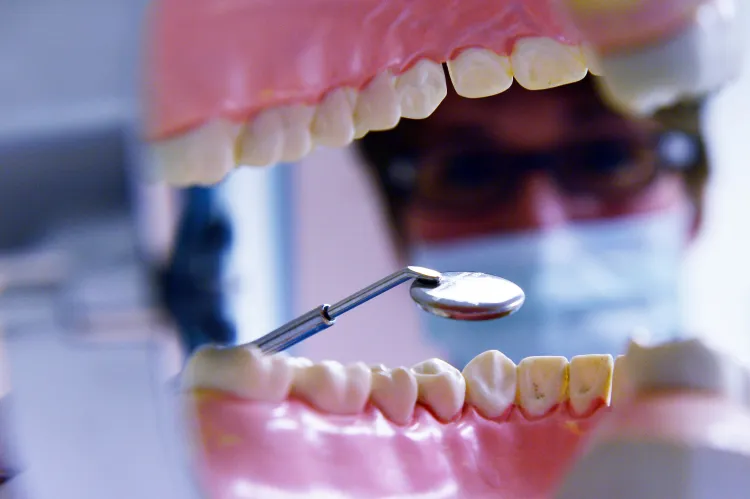 Tooth Successfully Grown in Lab - Newsweek