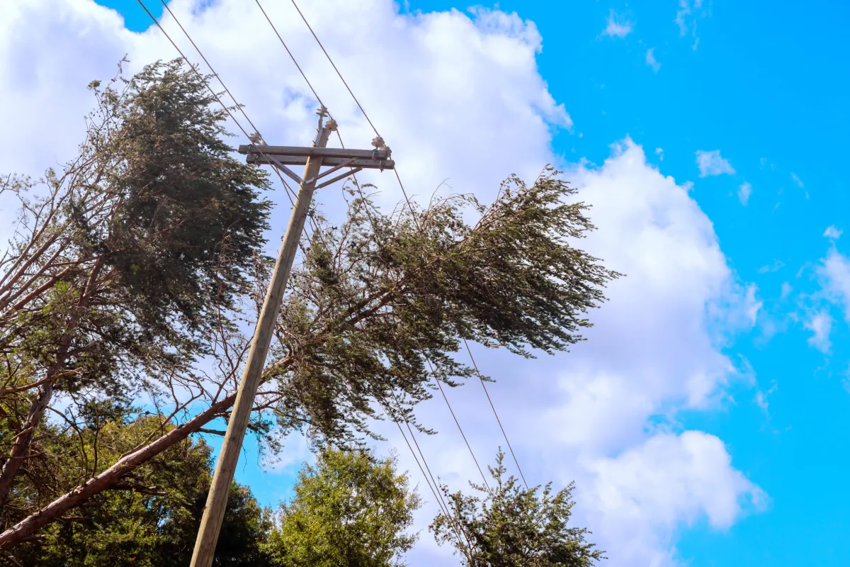 Map Shows Power Outages in 10 States - Newsweek