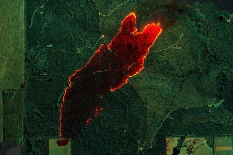 NASA Sensor Reveals Unknown Fire in Alabama - Newsweek