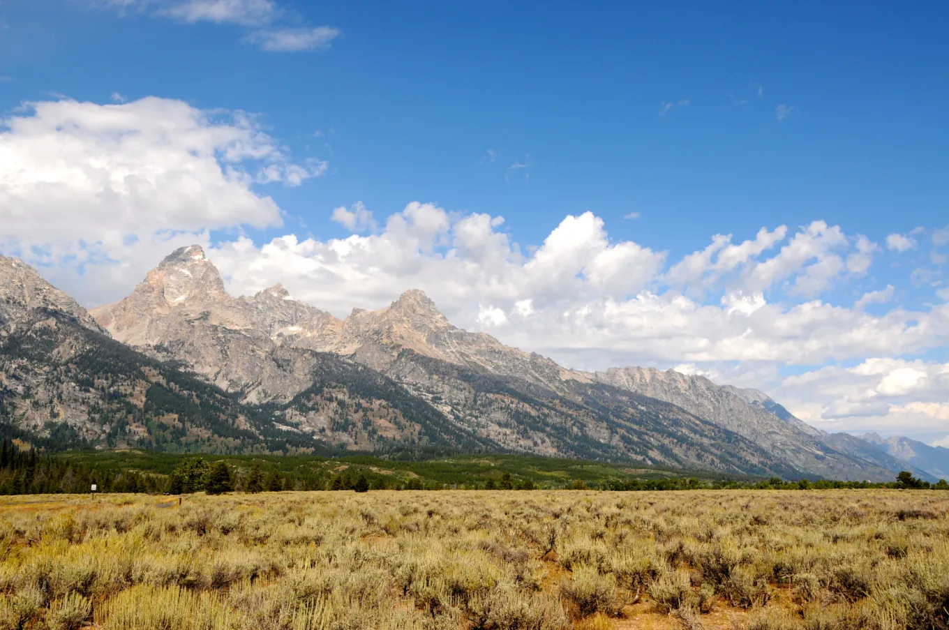 Yellowstone national park News & Latest Pictures From Newsweek.com