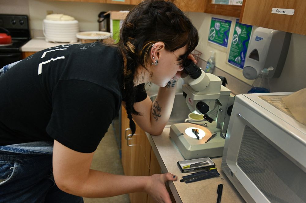 Deadly Fungus Spreads Through Europe as Temperatures Rise - Newsweek