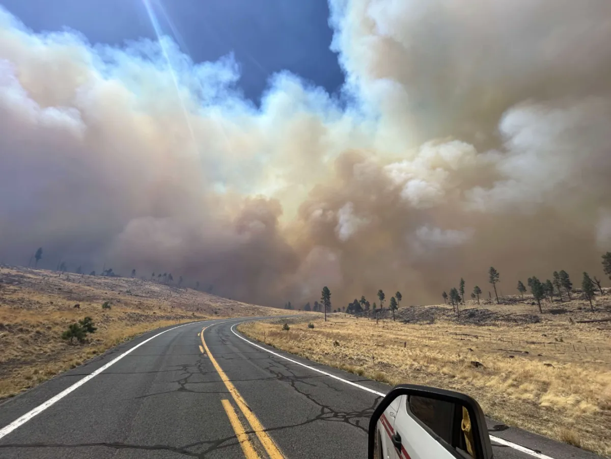 Greer Fire Update: Map Shows Arizona Blaze Spreading as Emergency ...