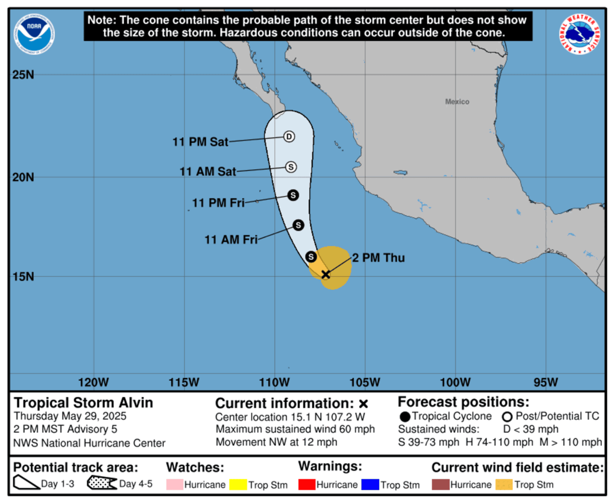 Tropical Storm Alvin Becomes First Named 2025 System - Newsweek
