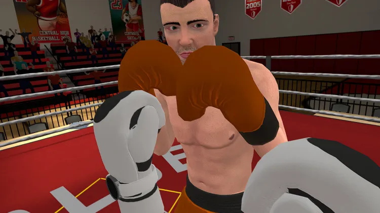 Golden Gloves VR Review: Virtual Reality Boxing Gets Serious - Newsweek