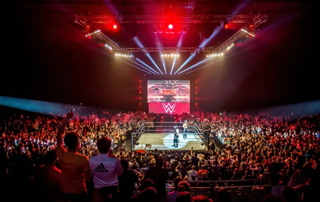 Former WWE Superstar Returns To The Ring - Newsweek