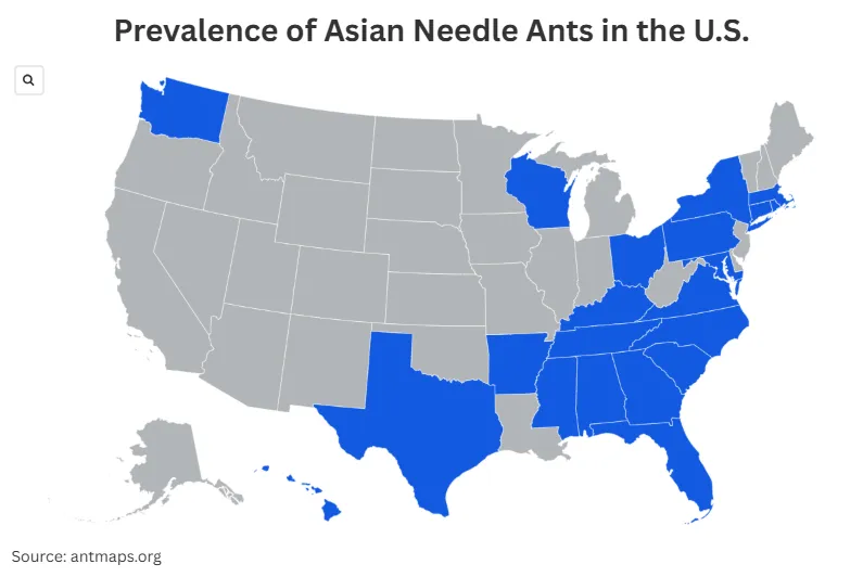 Ants News & Latest Pictures From Newsweek.com