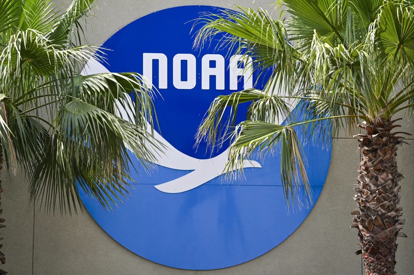 Major US Government Website Could be Shut Down After Mass Layoffs ...