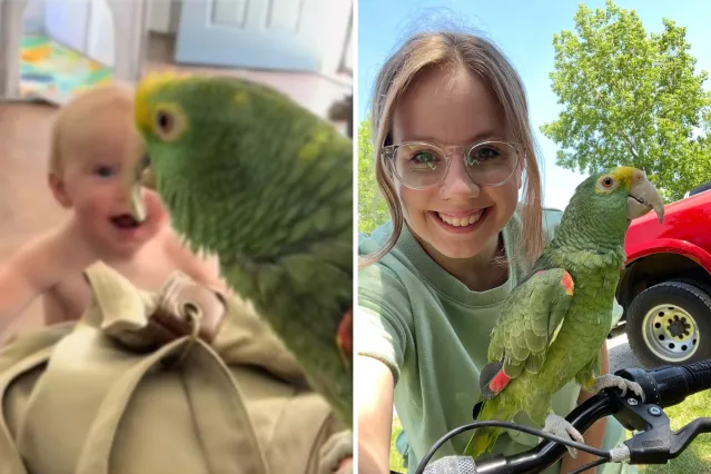 Parrot Owner Has a Baby—Not Prepared for What Awaits Her - Newsweek