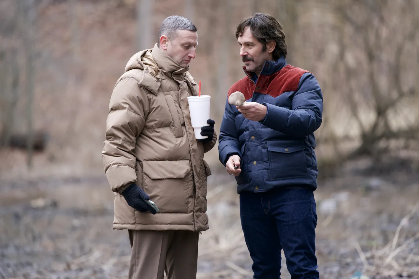 'Friendship' Starring Paul Rudd Gets New Digital Release Date – How To ...