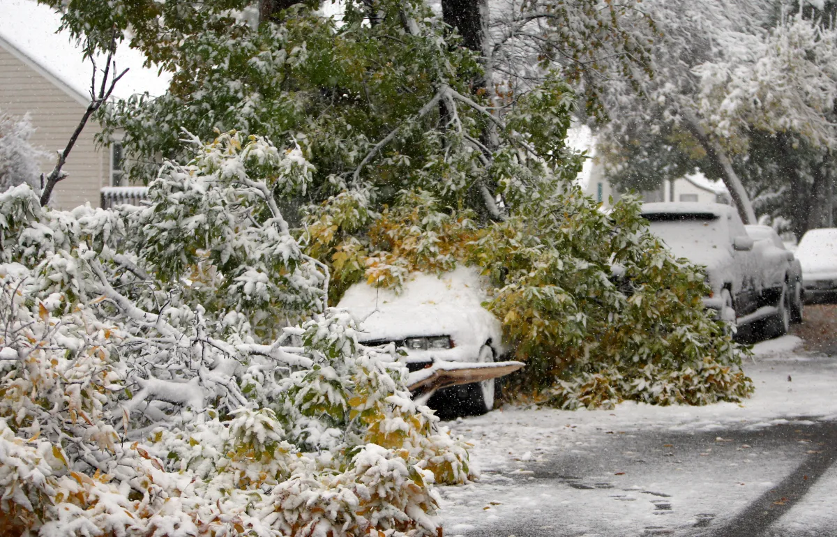 Rare June Winter Storm To Hit With 12 Inches of Snow - Newsweek