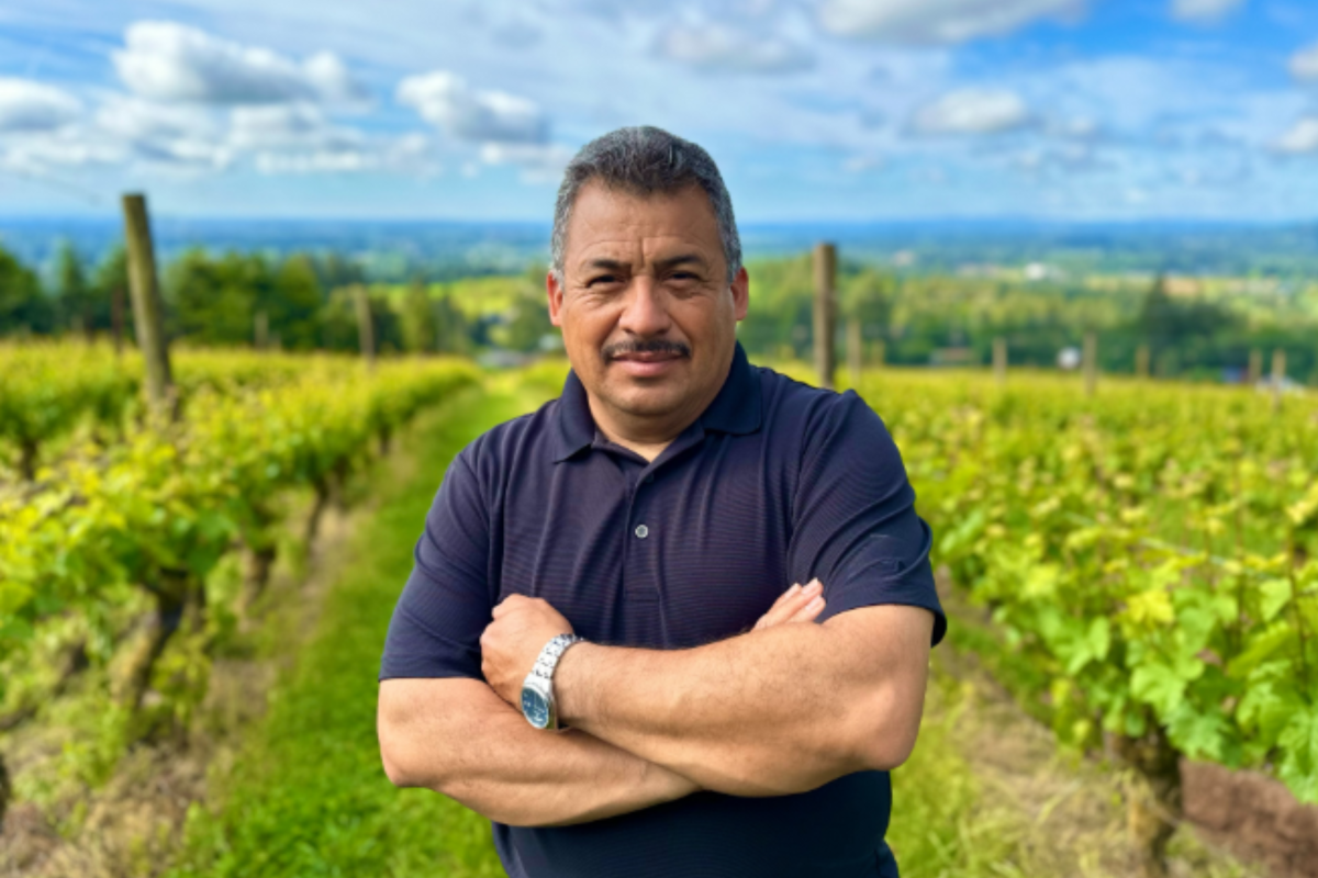 Winemaker In U.S. For Decades Detained By ICE: ‘Disappointed and ...