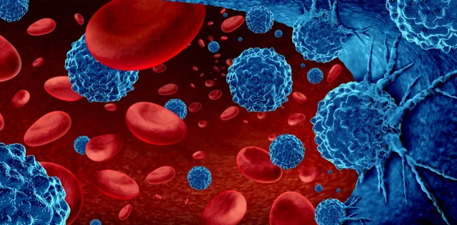 Blood News & Latest Pictures From Newsweek.com
