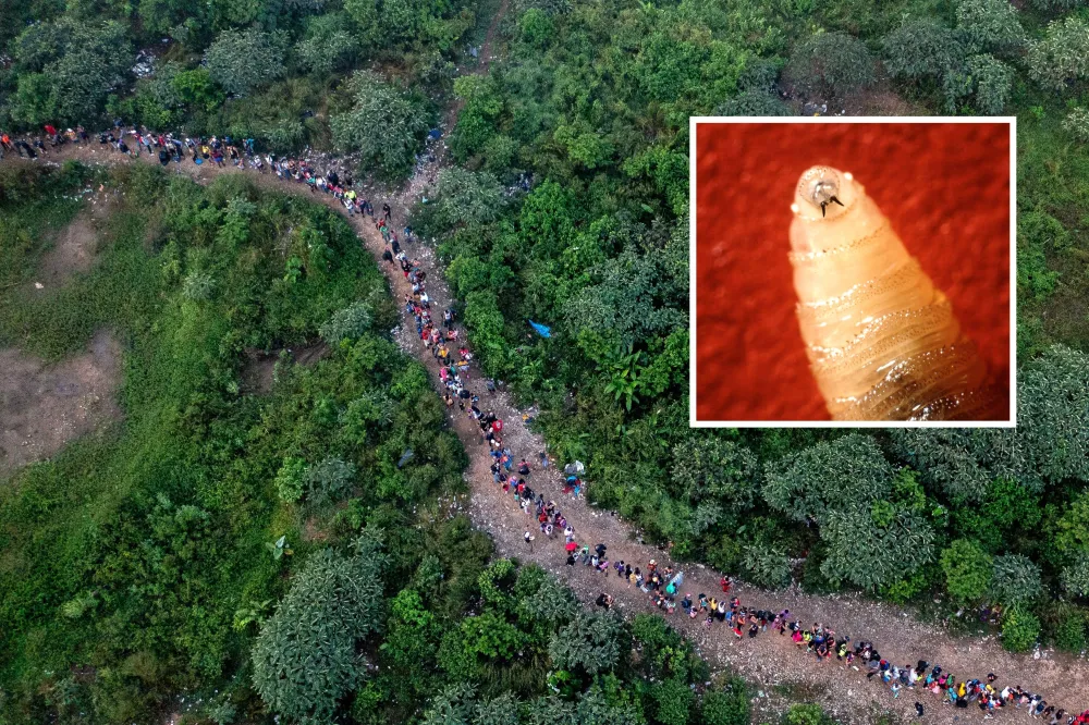 How a Favored Migrant Route Became Invasive Species Superhighway to US ...