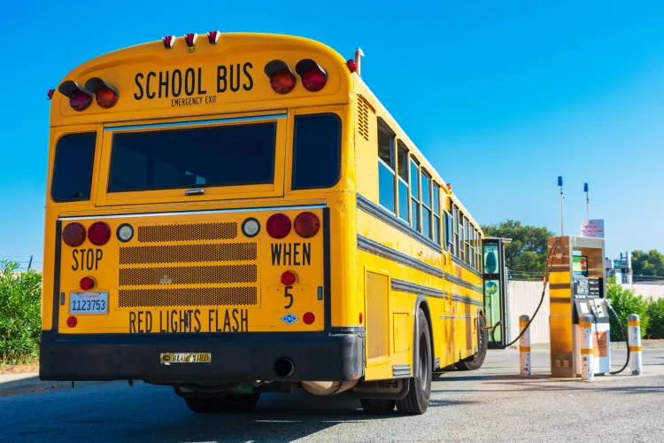 School bus News & Latest Pictures From Newsweek.com