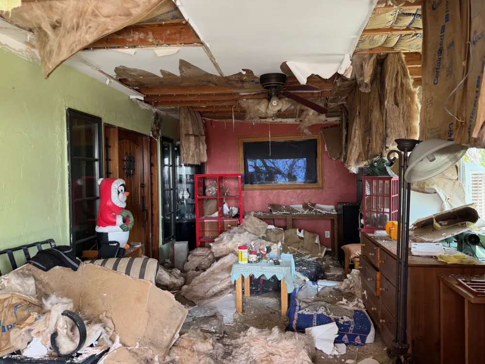 Californians Are Being Forced To Live in Toxic Homes - Newsweek