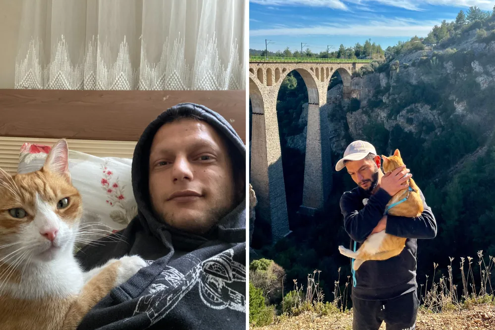 Millennial Man Diagnosed With Cancer—Then His Cat Steps Up - Newsweek