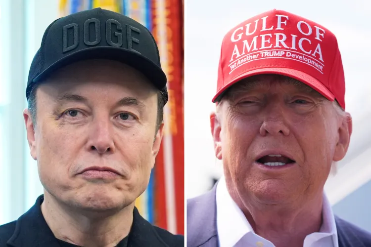 Elon Musk Responds to Trump’s ‘Back Home to South Africa’ Comments ...