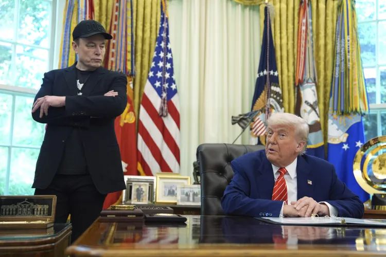 Chinese Are Cheering On Elon Musk Against Donald Trump - Newsweek