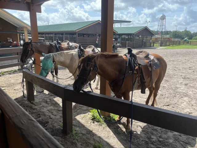 Inside the Real Ranch Bringing TV's Yellowstone to Life - Newsweek