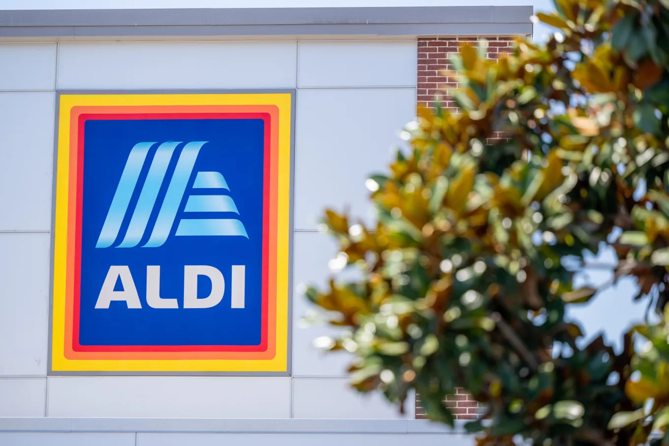 Aldi Food Recall Update: Customers in 37 States Told to ‘Discard ...