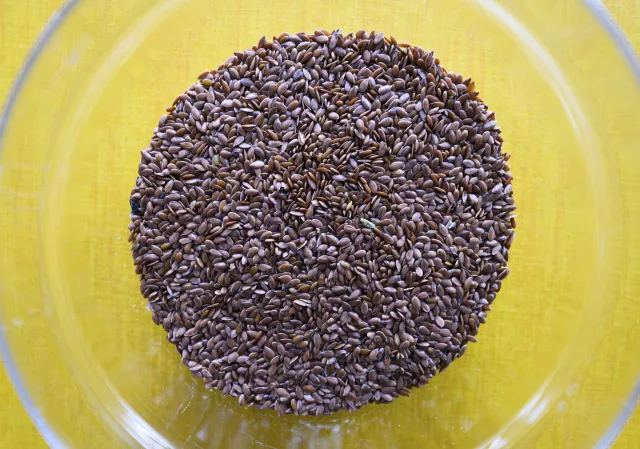 Seed Recall Update as FDA Issues Highest Risk Warning - Newsweek