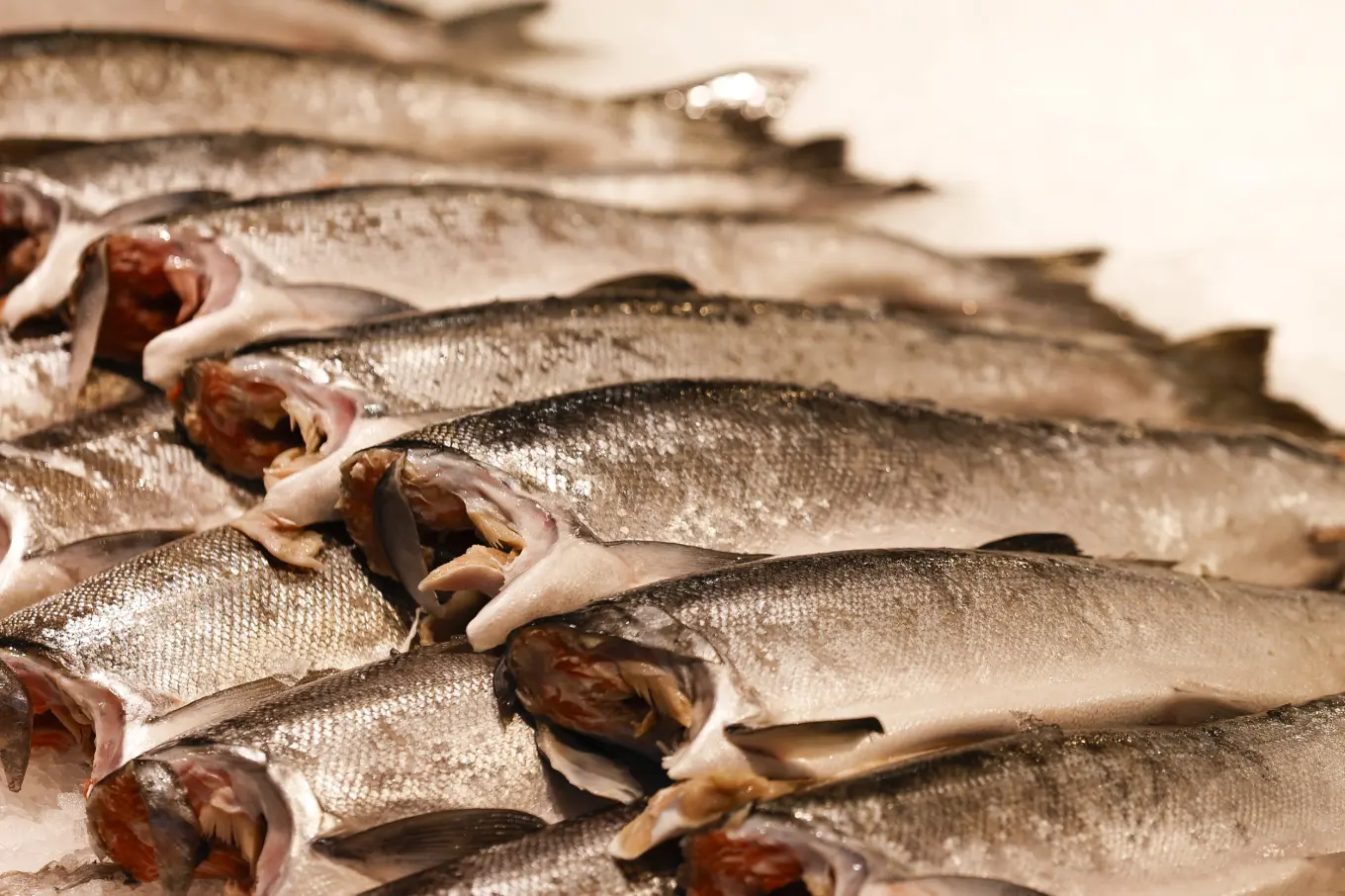 Nationwide Fish Recall as Consumer Warning Issued - Newsweek