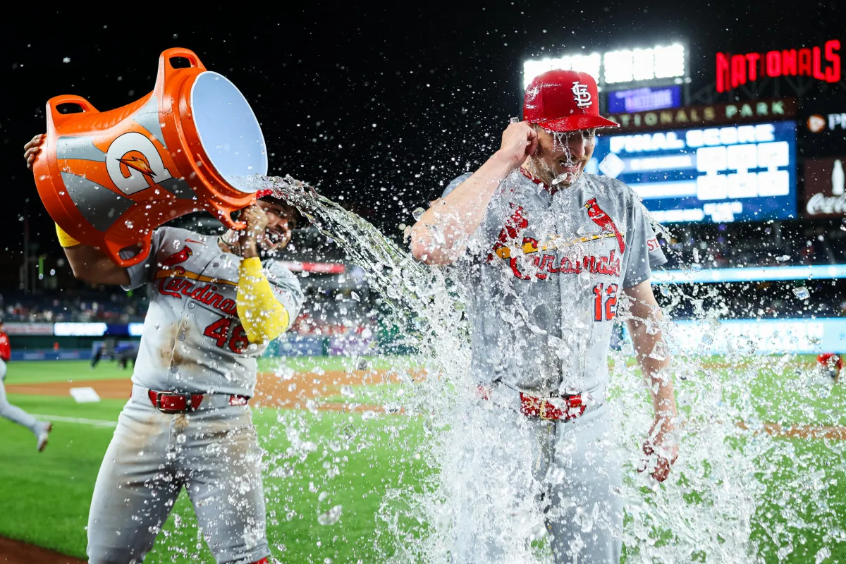 Cardinals Shockingly Designate Erick Fedde for Assignment - Newsweek