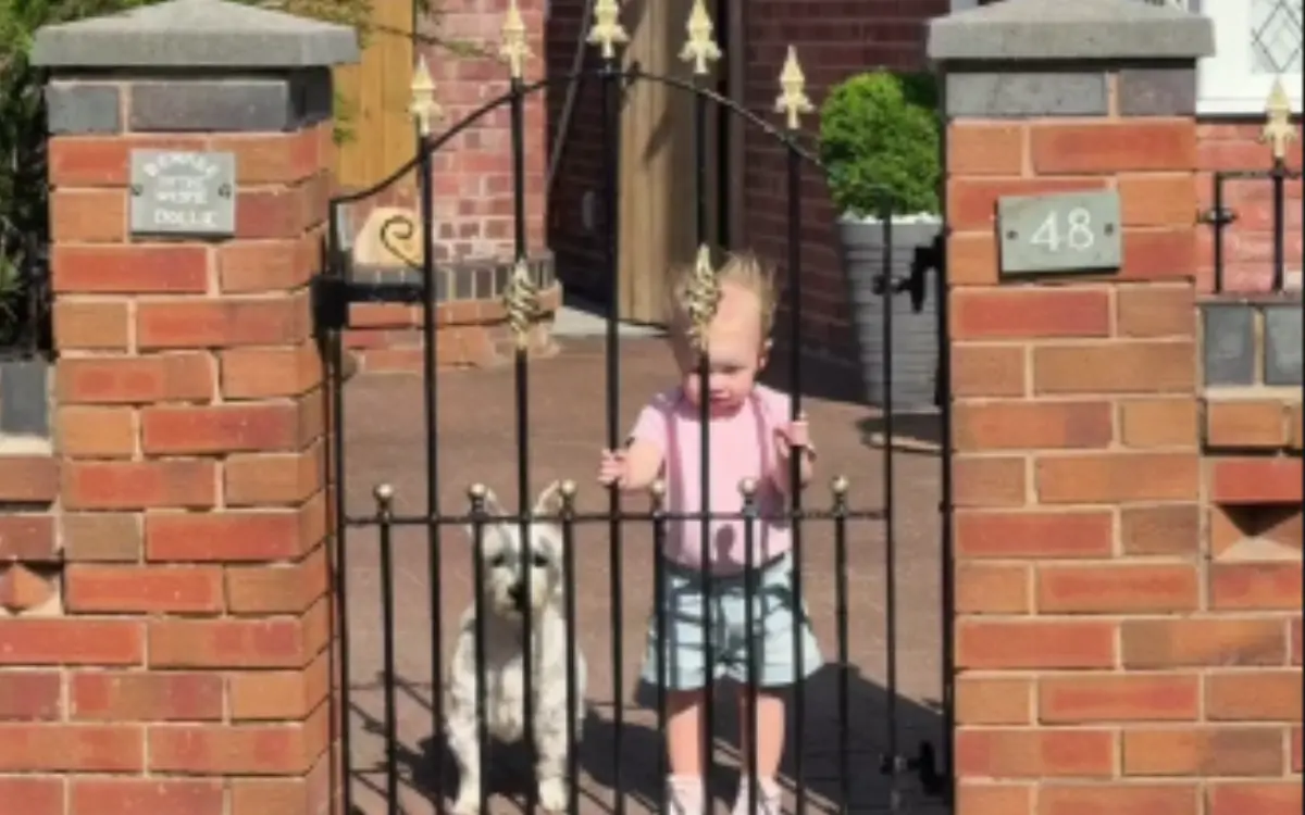 Mom Drops Daughter at Grandparents’, Hours Later Gets ‘Disturbing ...