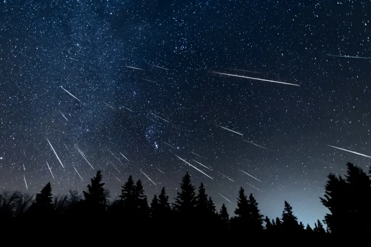 How To Catch Two Meteor Showers Lighting Up US Skies This Week - Newsweek