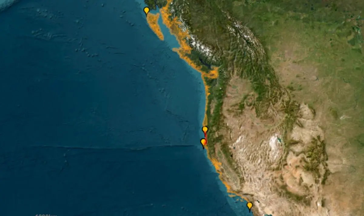 Tsunami Warning Map Shows US Areas Under Threat - Newsweek
