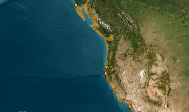 Tsunami Warning Map Shows US Areas Under Threat - Newsweek