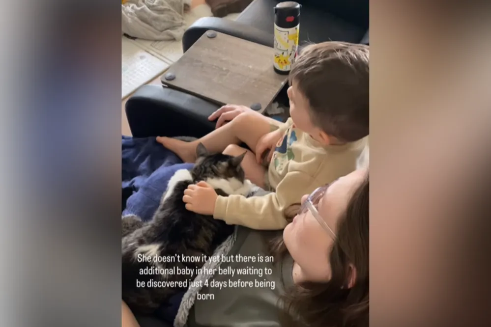Mom Relaxes on Couch With Son and Bump—4 Days Later, Life Changes ...
