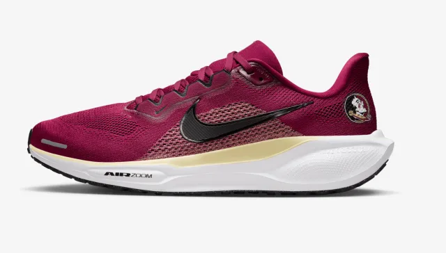 Florida State Seminoles Nike Zoom Pegasus 41: How to Buy NCAA Sneakers ...