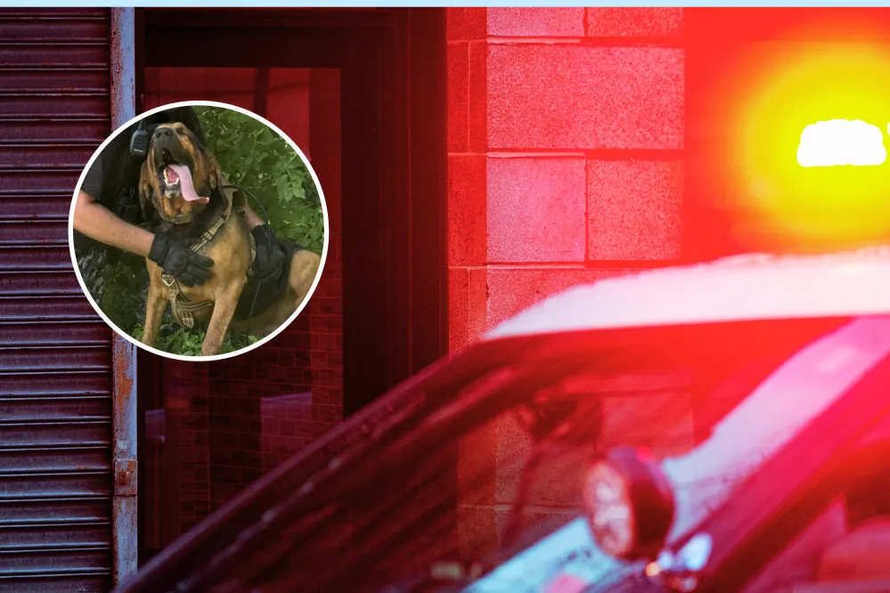 Missing teen found alive at bottom of ravine after days without water ...
