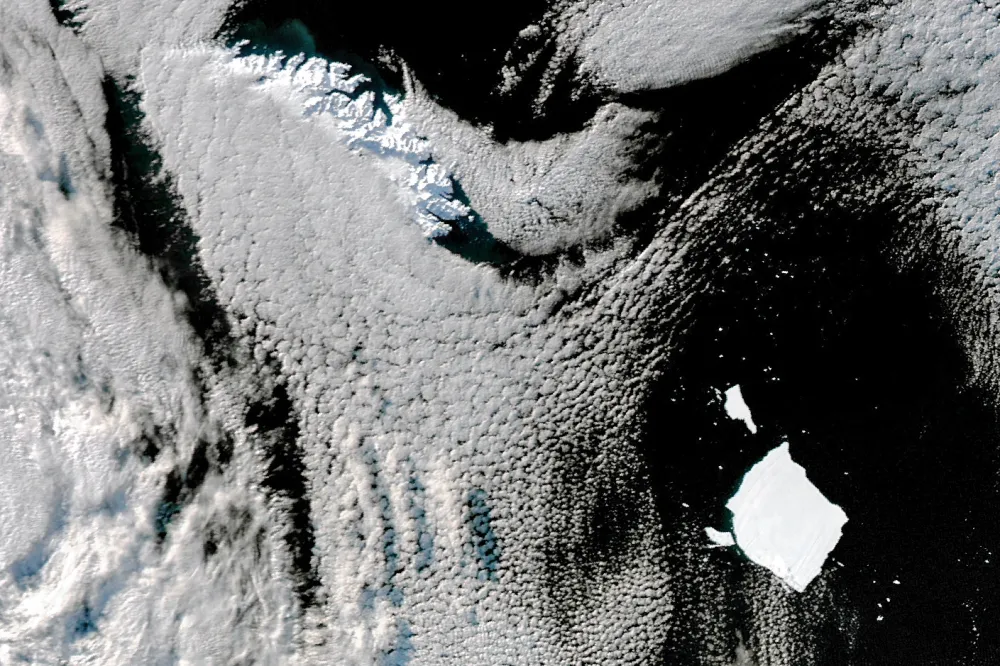 iceberg News & Latest Pictures From Newsweek.com