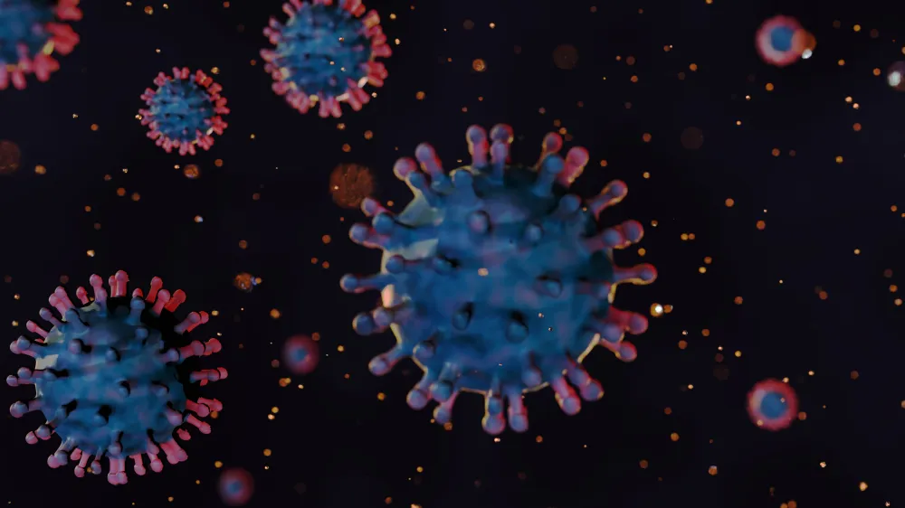 Chikungunya Virus Explained As Cases Rise in China - Newsweek
