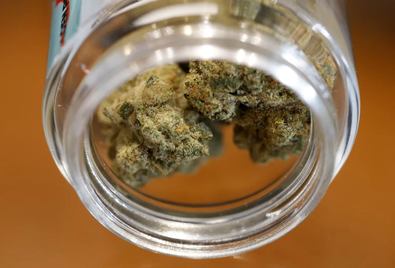 Marijuana News & Latest Pictures From Newsweek.com