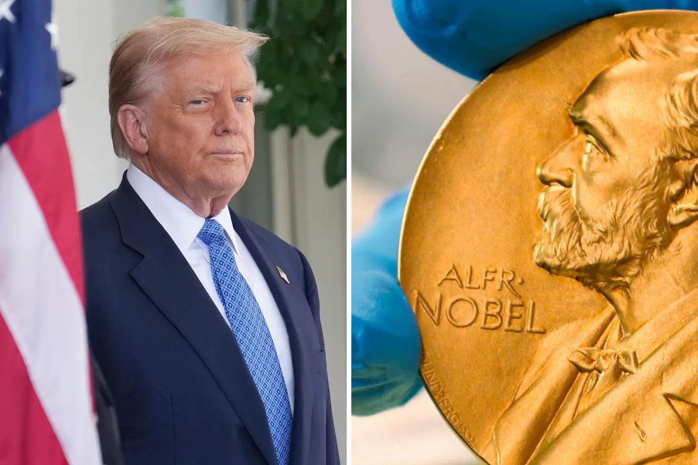 Map of Countries That Have Nominated Donald Trump for Nobel Peace Prize ...