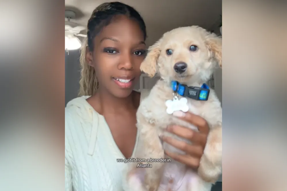 Woman Told She’s Getting Miniature Poodle—2 Months Later Realizes ...