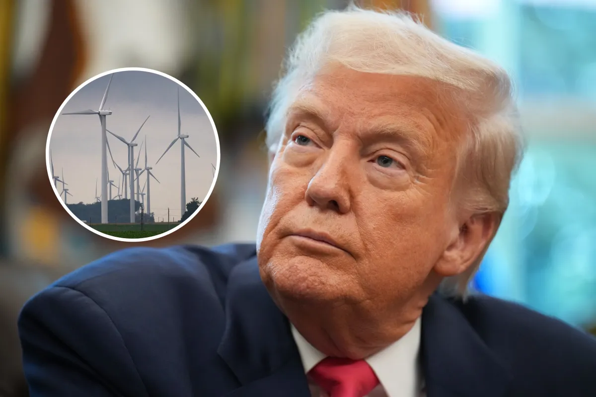 Trump Escalates His War on Windmills - Newsweek