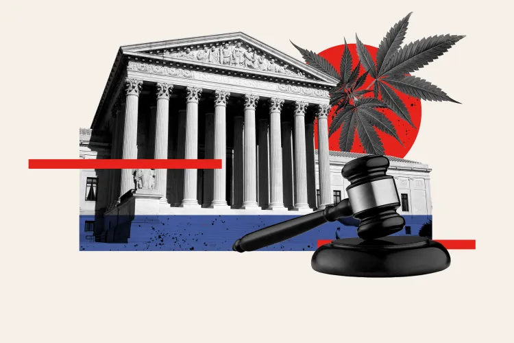 Marijuana News & Latest Pictures From Newsweek.com