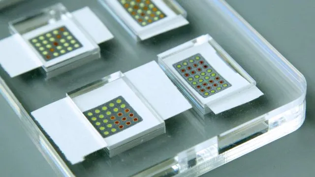New Pocket-Sized Blotter Test Can Detect Ebola Strains in Just 30 ...
