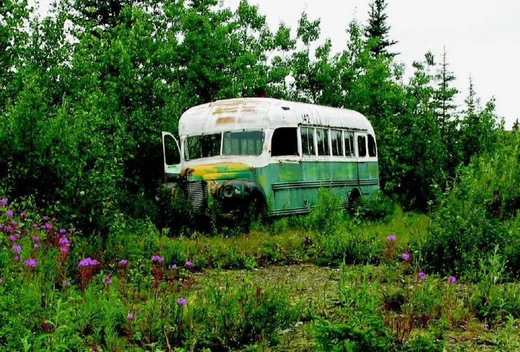 What Really Drove Christopher McCandless ‘Into the Wild,’ According to ...