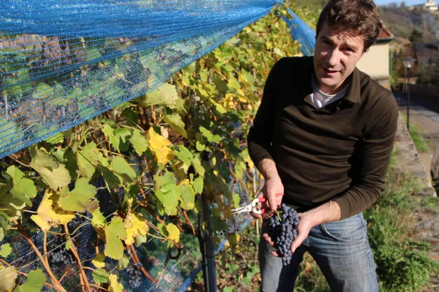 Dresden Is The New Unlikely Place for Fine Barolo Wine - Newsweek
