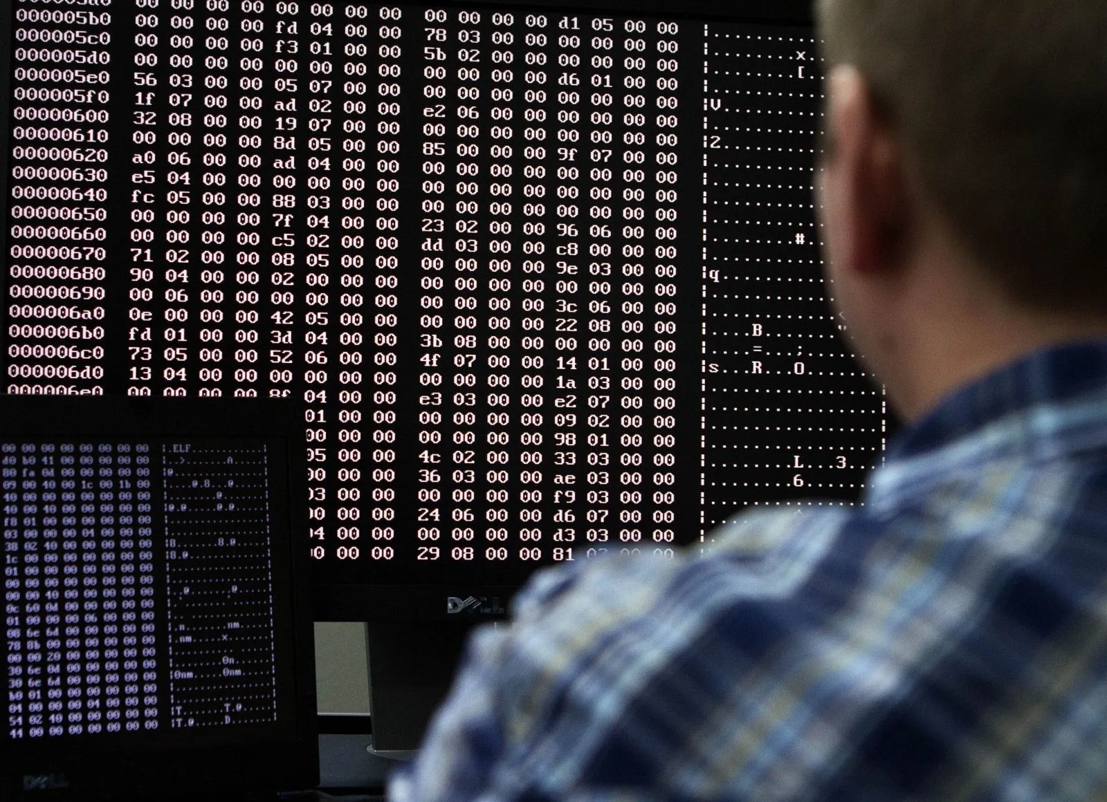Finland May Enlist Convicted Lizard Squad Hacker to Fight Cyber Crime ...