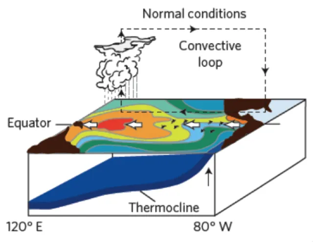 Coming to the West Coast Soon! A Mega El Niño! - Newsweek