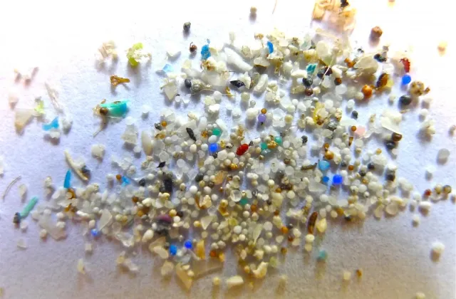 The U.S. Just Banned Microbeads, Those Tiny Plastic Environmental ...
