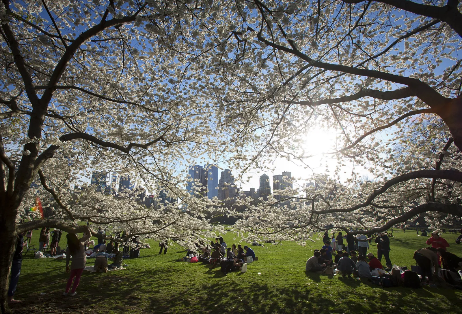 Spring Will Come Three Weeks Early in U.S. Thanks to Climate Change ...