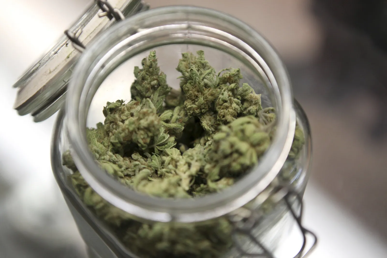 Small Legal Victory for Medical Marijuana in California - Newsweek